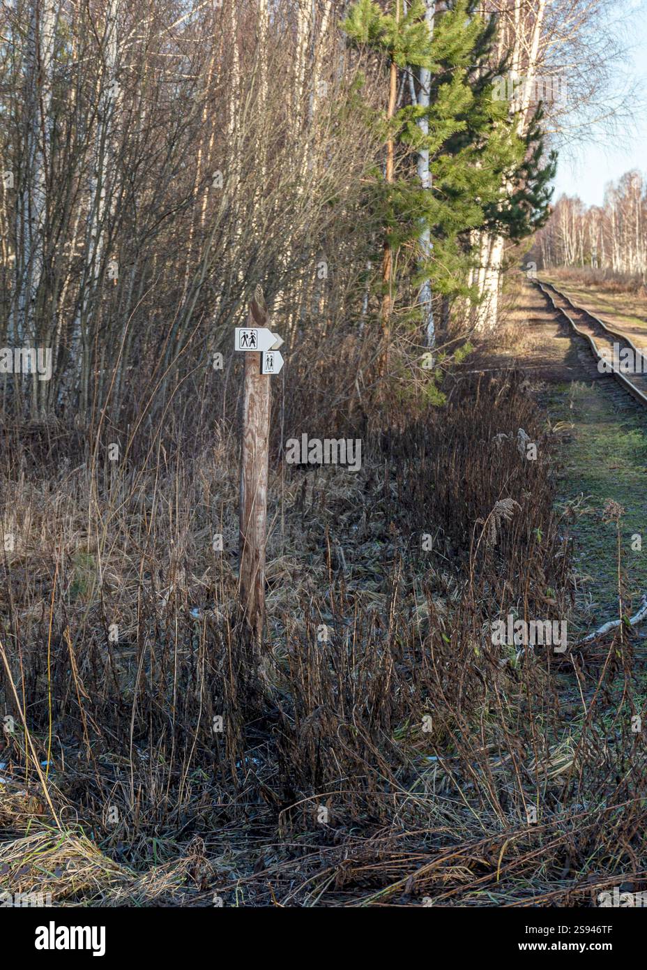 road signs indicating the direction of a pedestrian path, signposts in ...