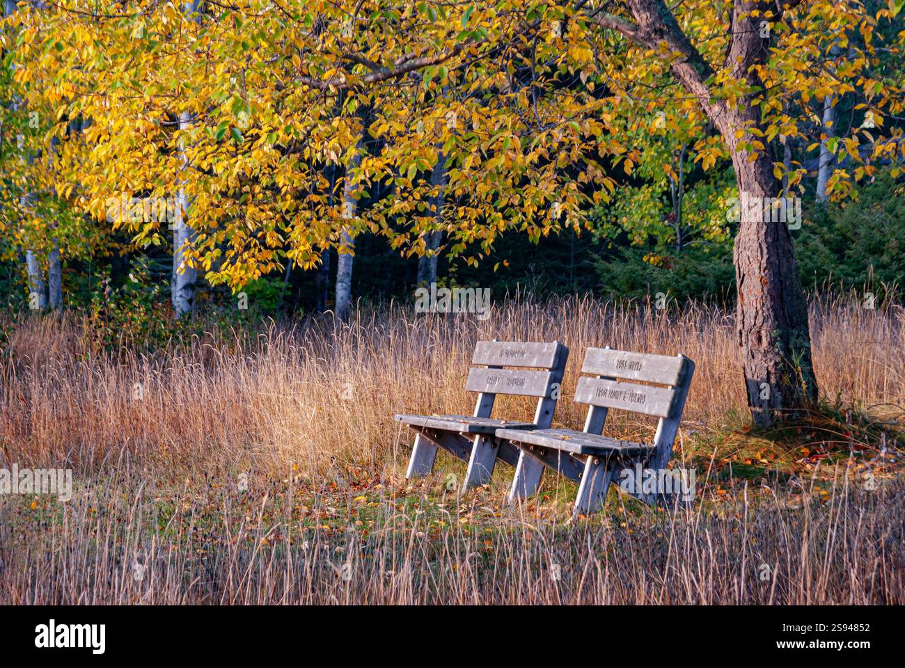 Memorial benches offer a view towards the Lakle Michigan autumn ...