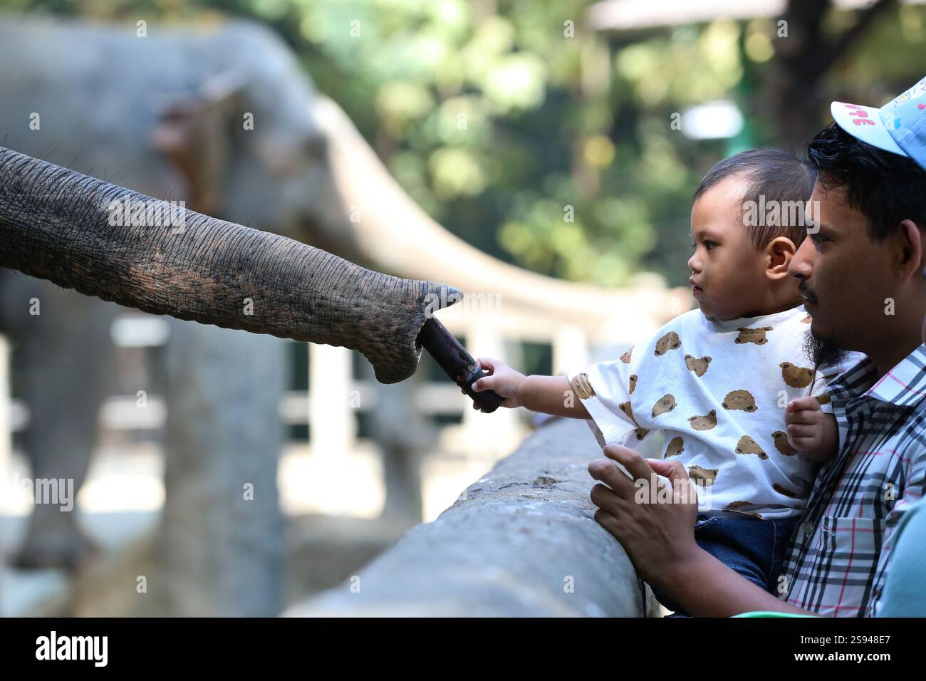 (250124) -- YANGON, Jan. 24, 2025 (Xinhua) -- A child feeds an elephant ...