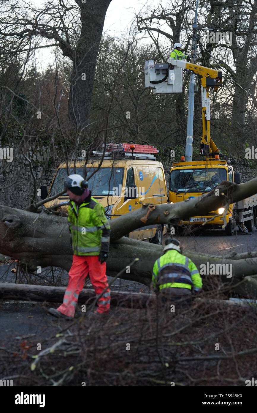 Workers start to remove a fallen tree which crashed through the wall of ...