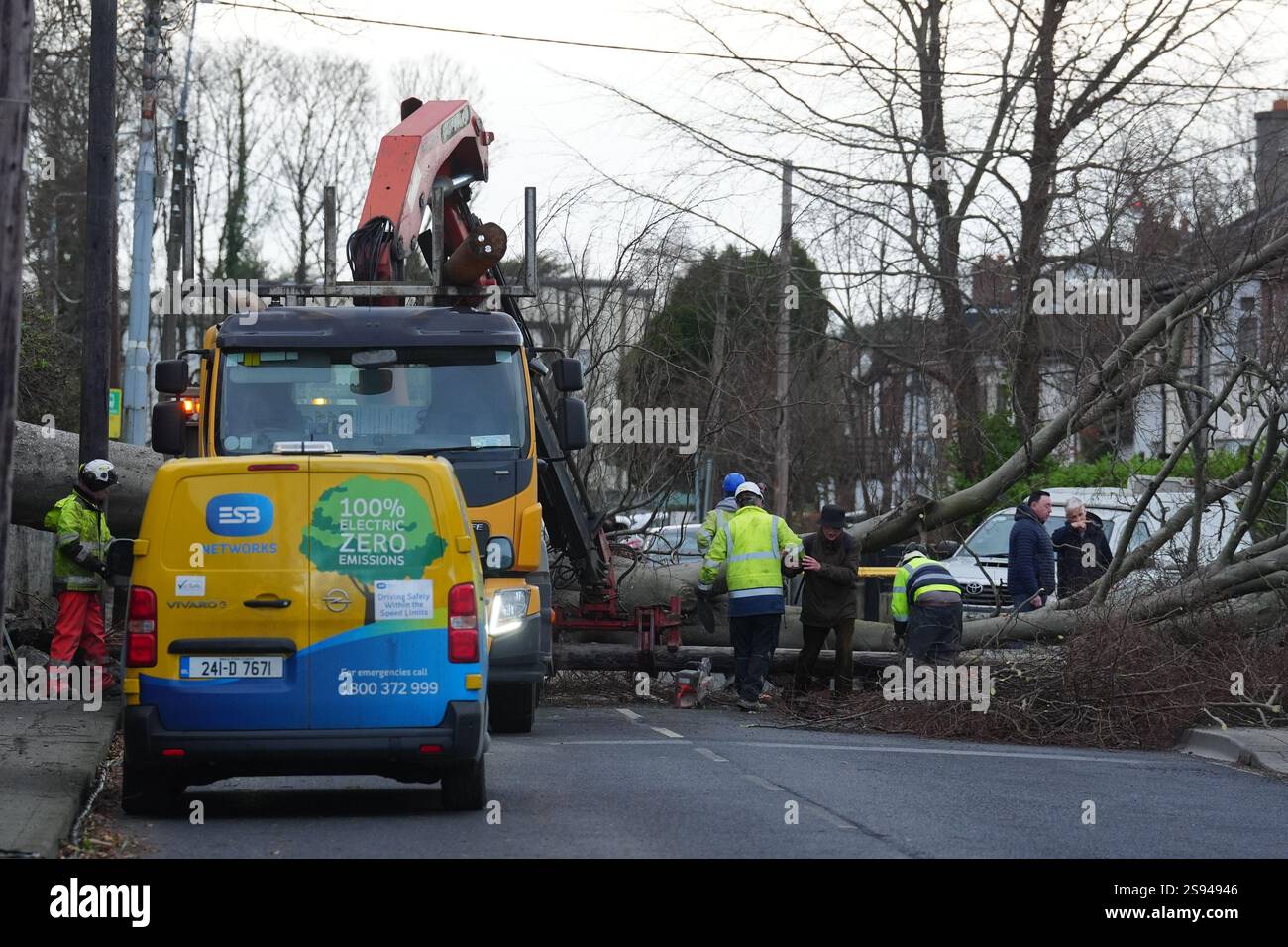Workers start to remove a fallen tree which crashed through the wall of ...