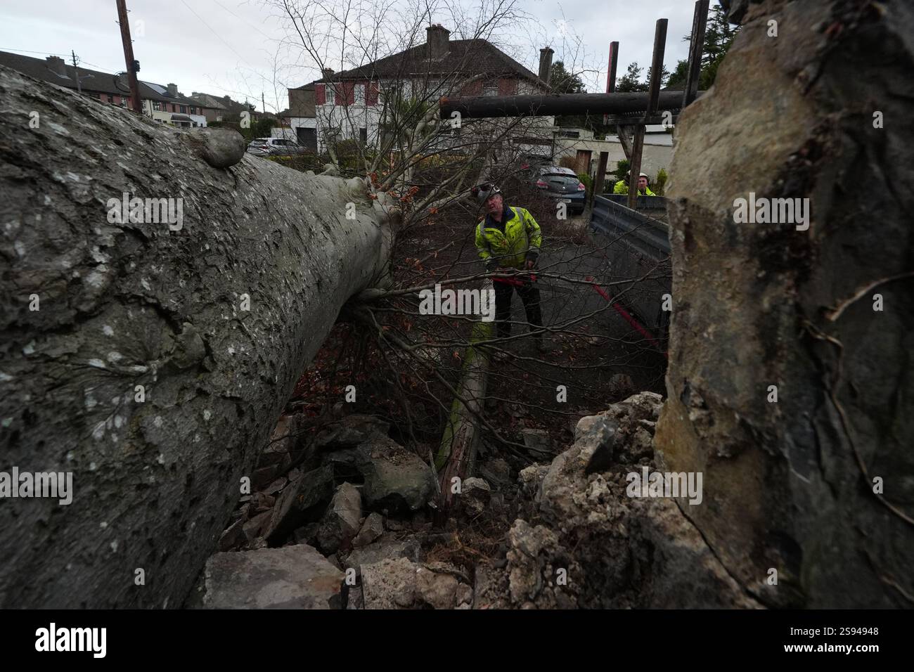 Workers start to remove a fallen tree which crashed through the wall of ...