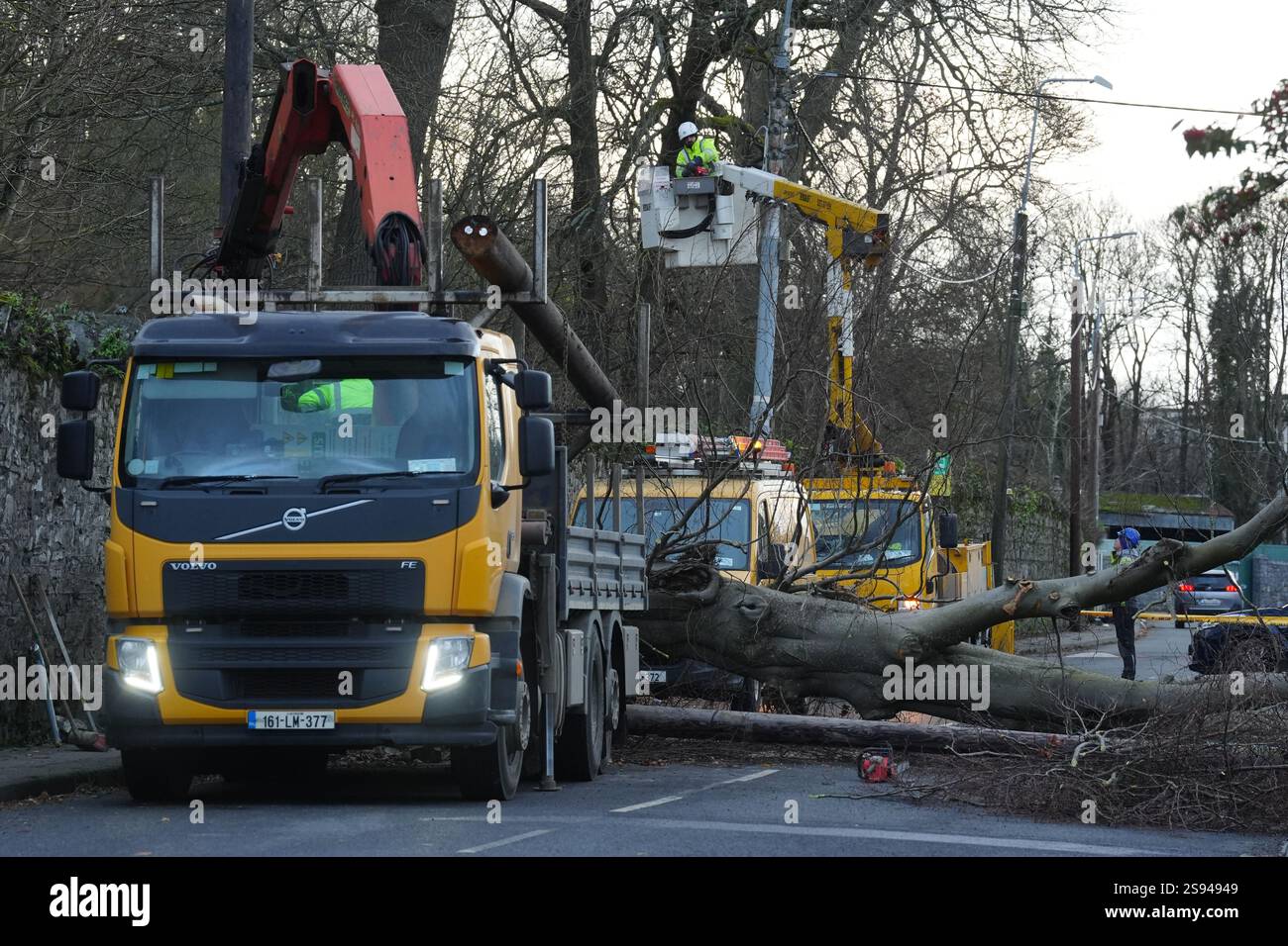 Workers start to remove a fallen tree which crashed through the wall of ...