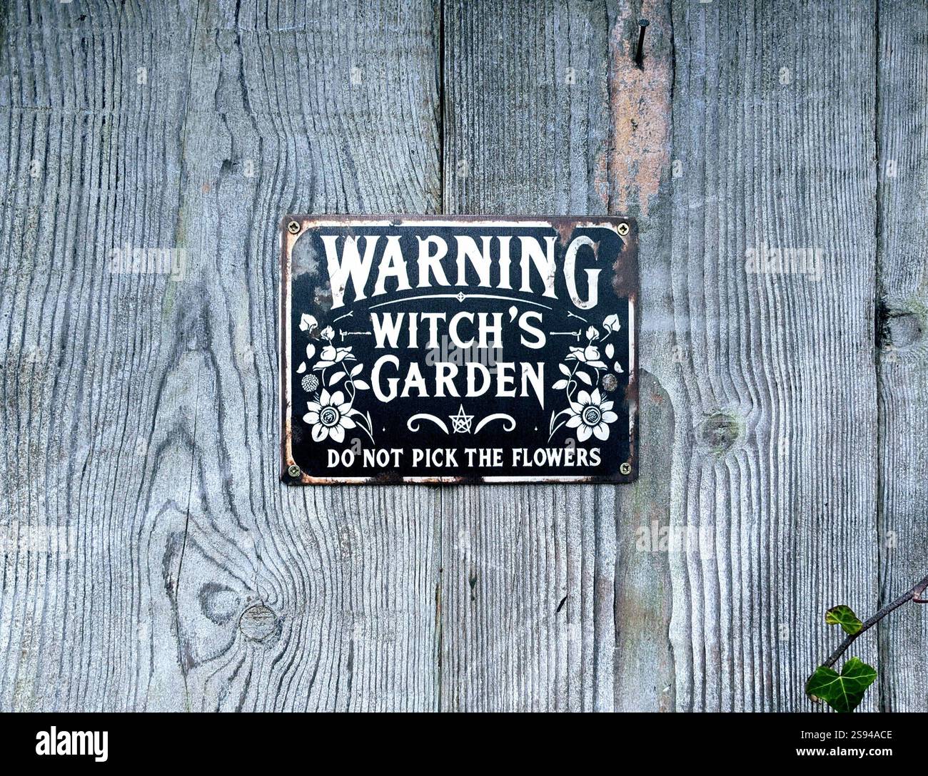 Witch's Garden Metal Old Sign Wood Fence Flowers Warning Stock Photo ...