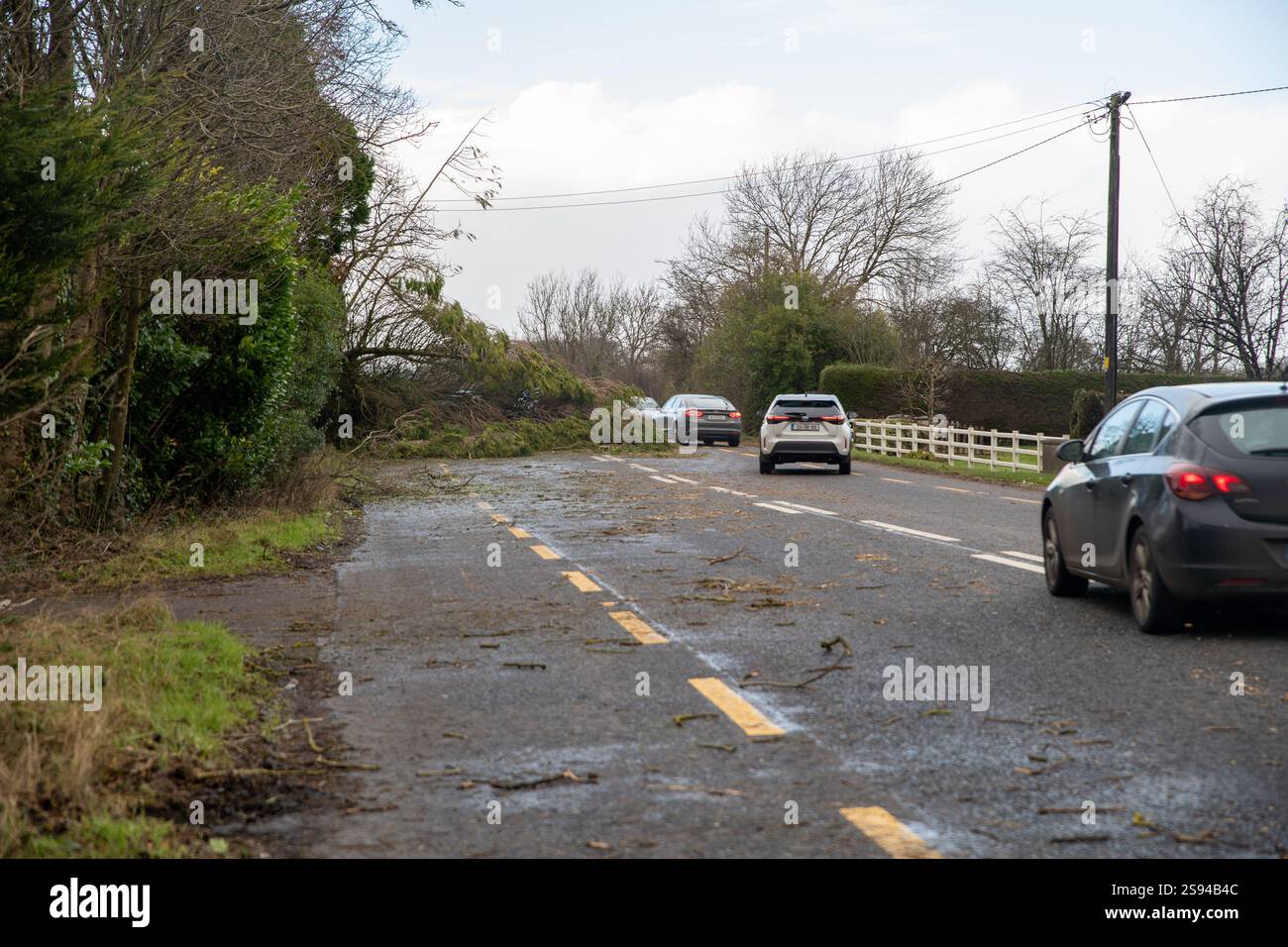 Athlone, Westmeath, Ireland, 24th January 2025. Large tree lays across ...