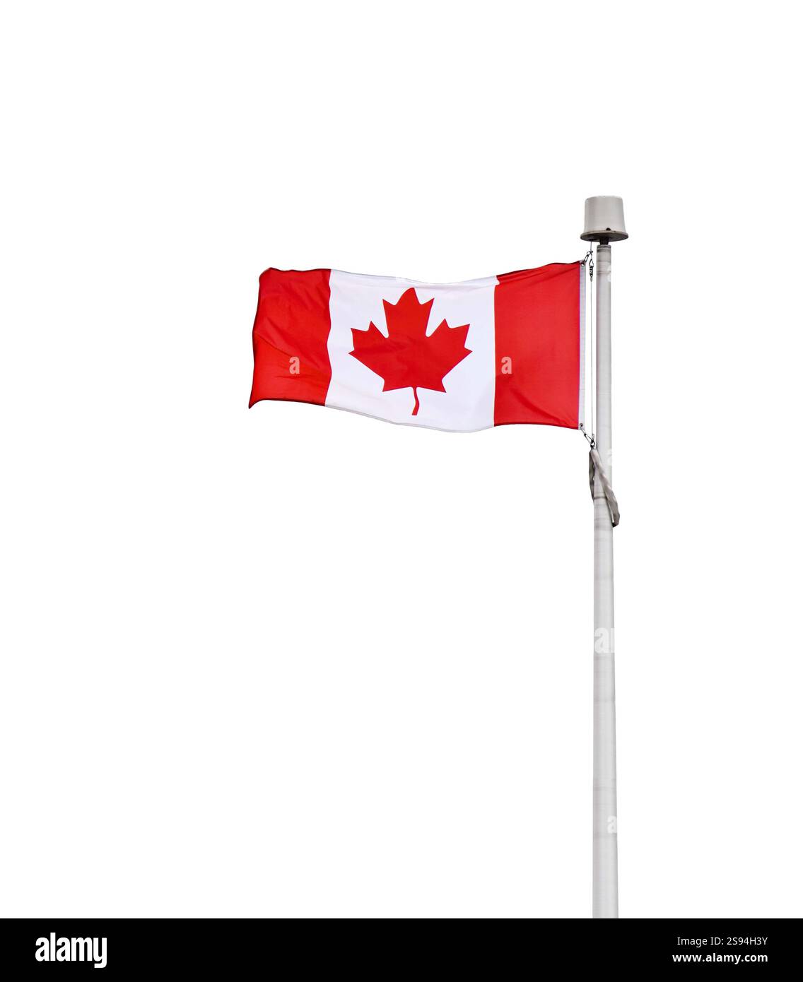 Canadian flag on a pole isolated cutout on white Stock Photo - Alamy