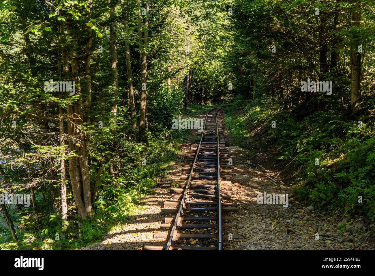 Narrow gauge railway. Rails and sleepers. Railway track. Nature in ...