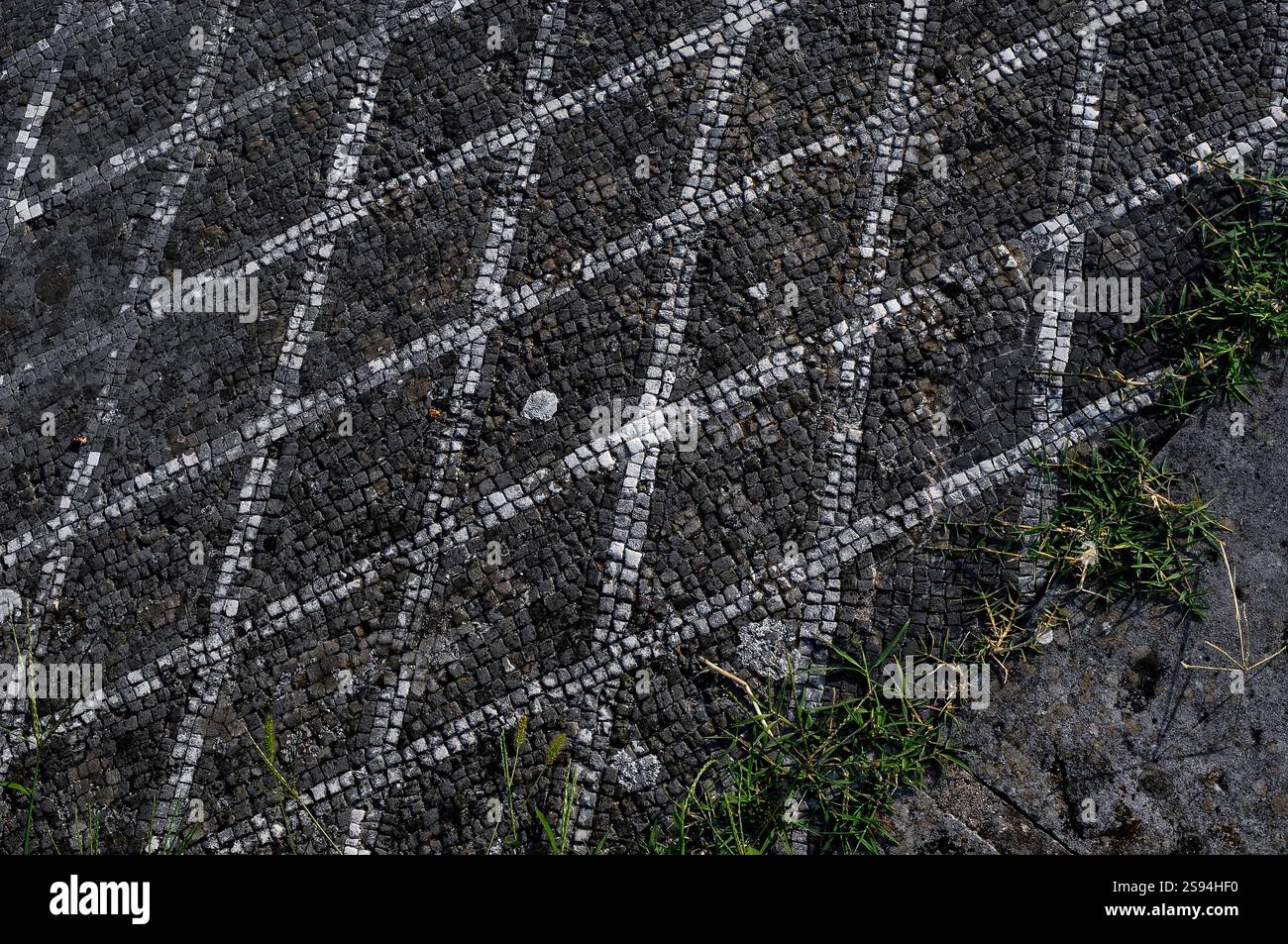 Lichen and grass border an ancient Roman black and white mosaic that ...