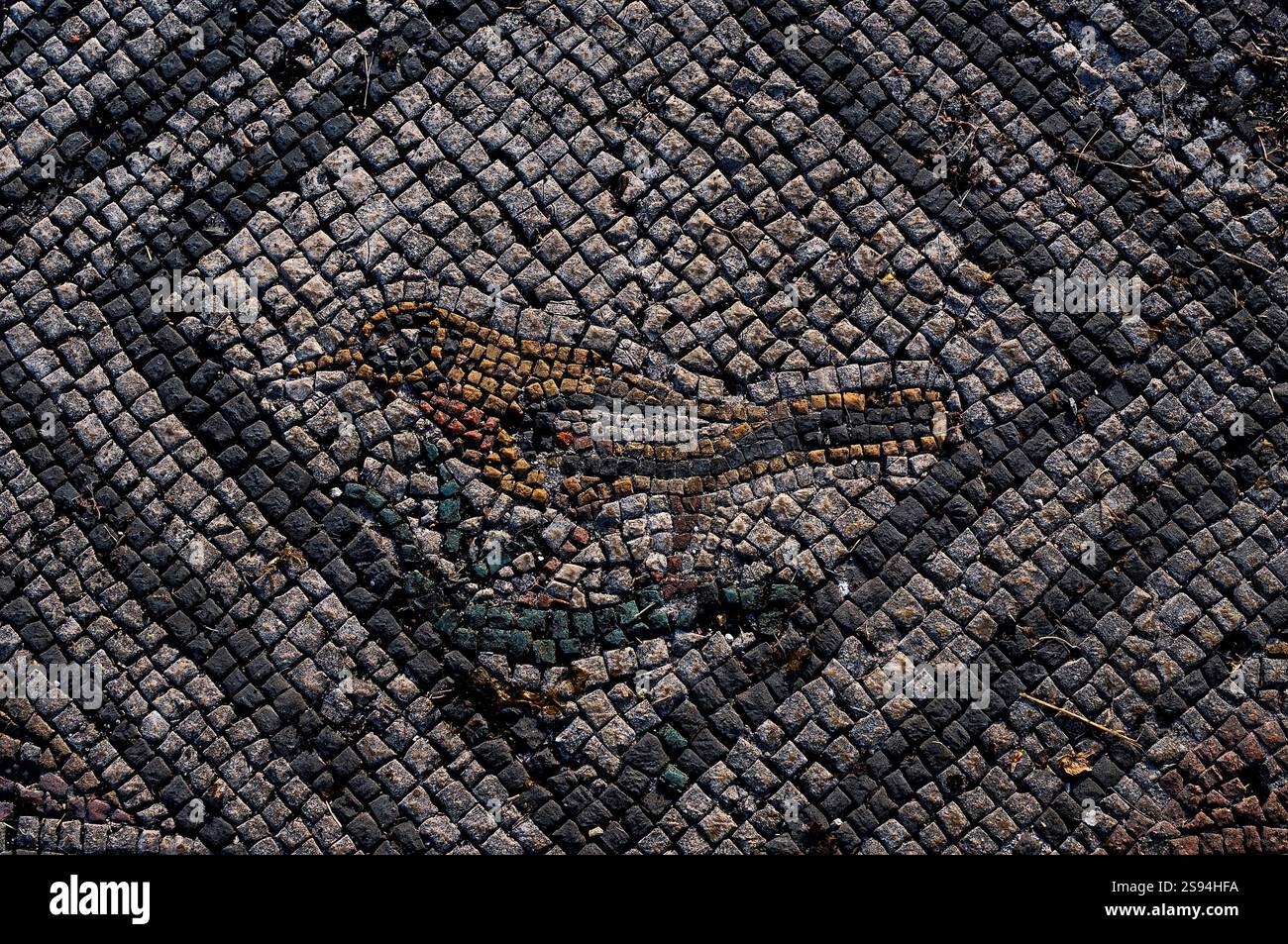 A small bird with orange, red and black plumage stands within a ...