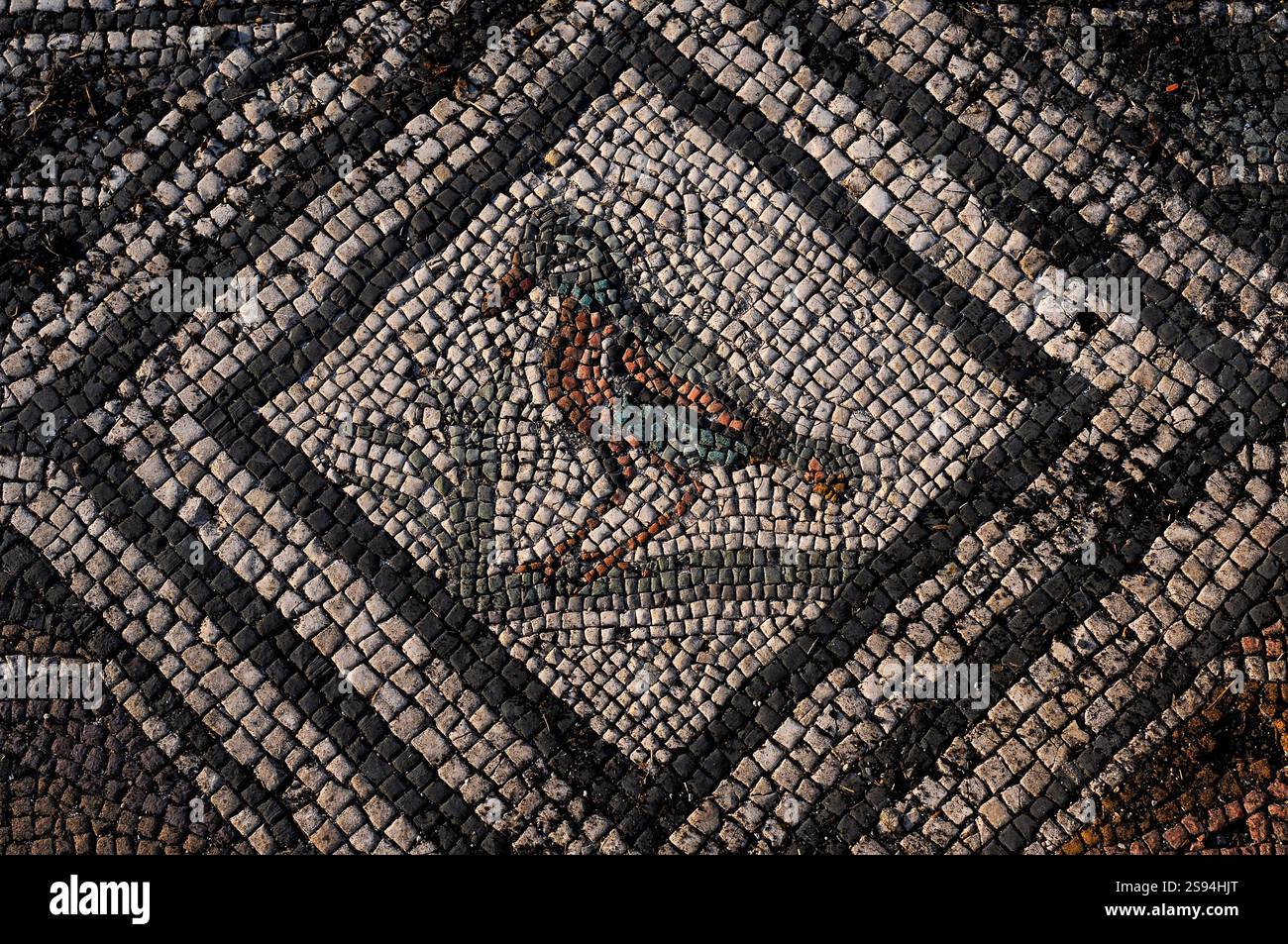 Fondi cossar hi-res stock photography and images - Alamy