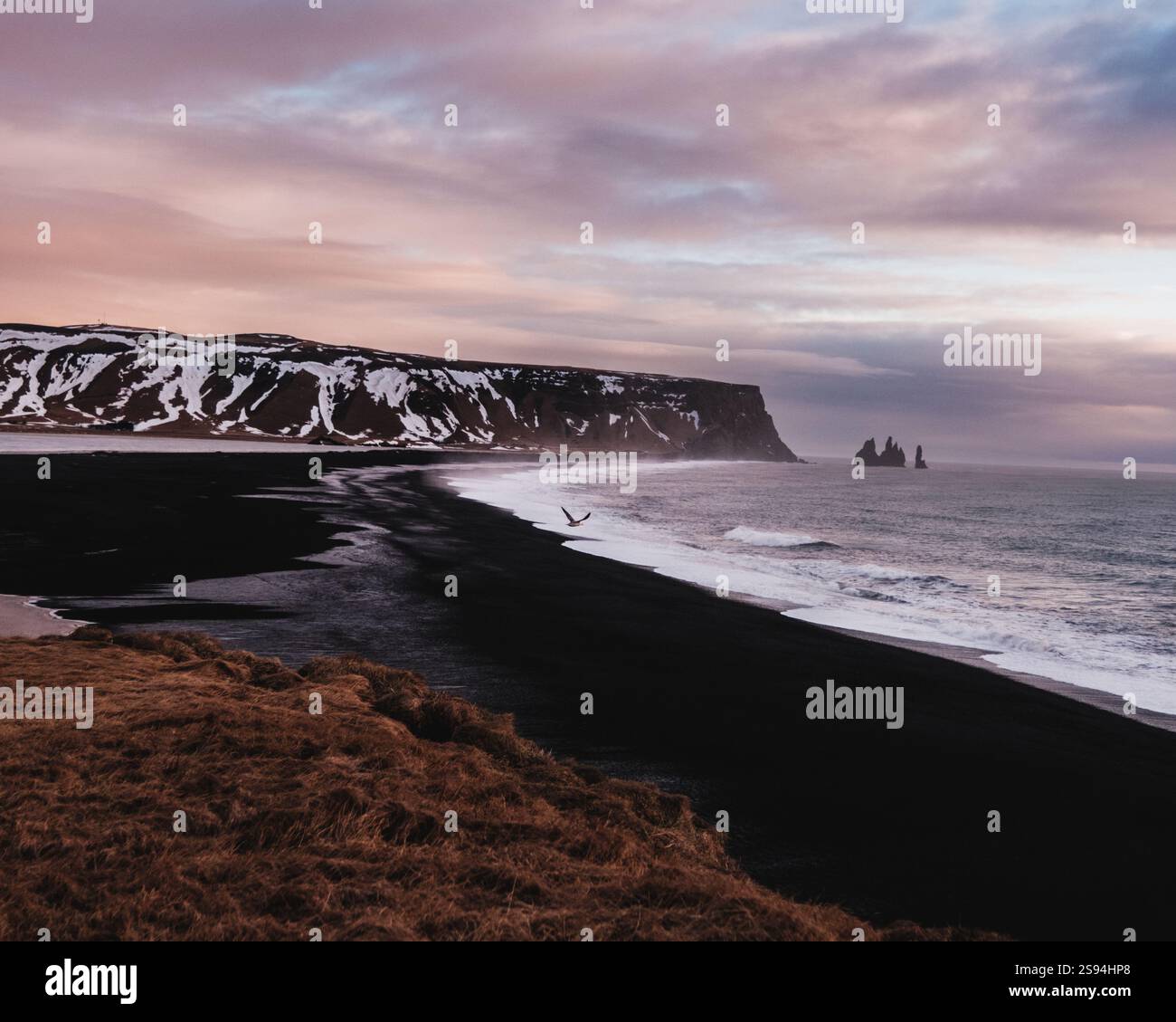 Reynisfjara black sand beach with Reynisdrangar sea stacks, South ...