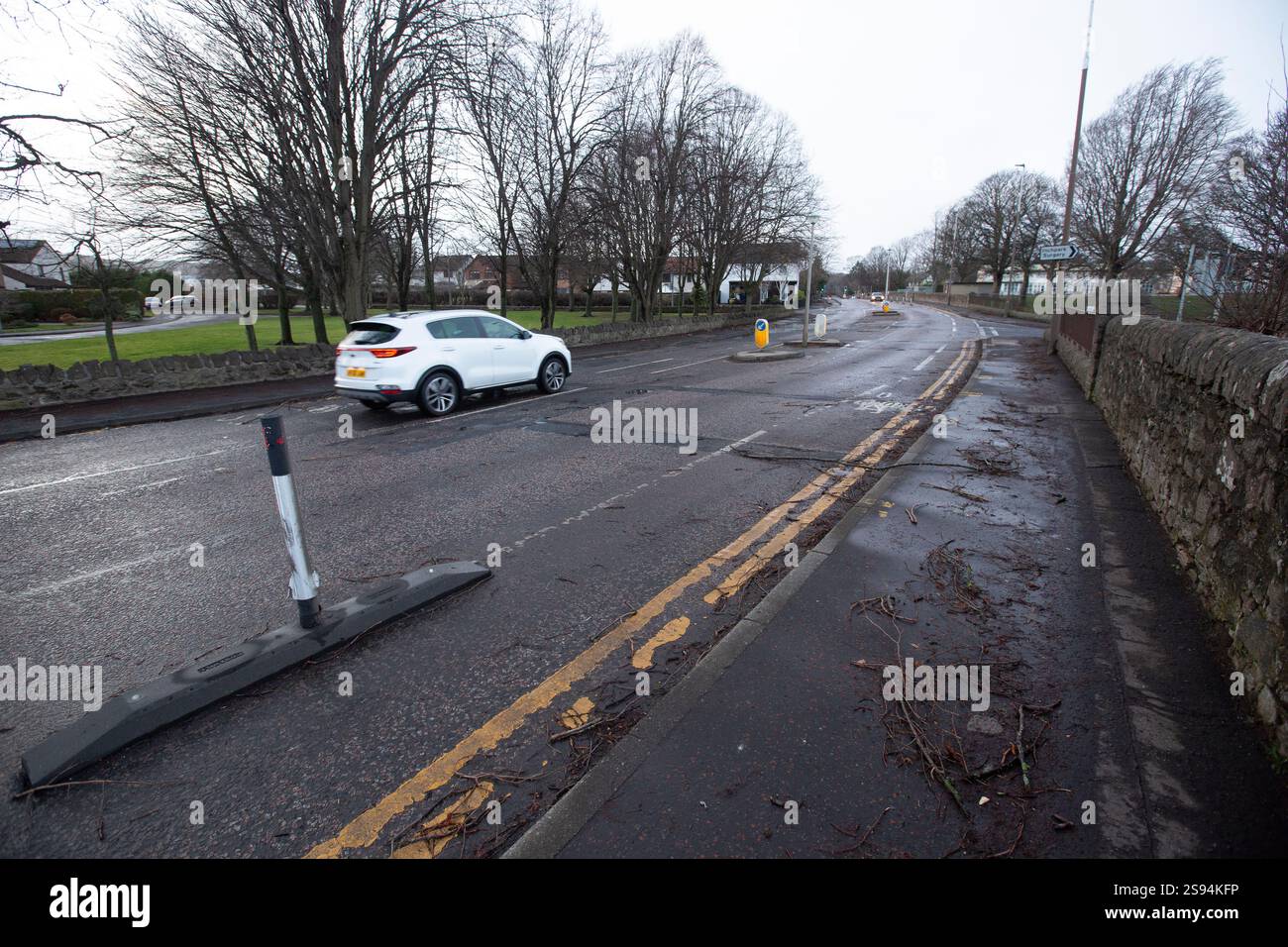 Edinburgh. UK. 24th January 2025. Storm Eowyn broken and fallen trees ...
