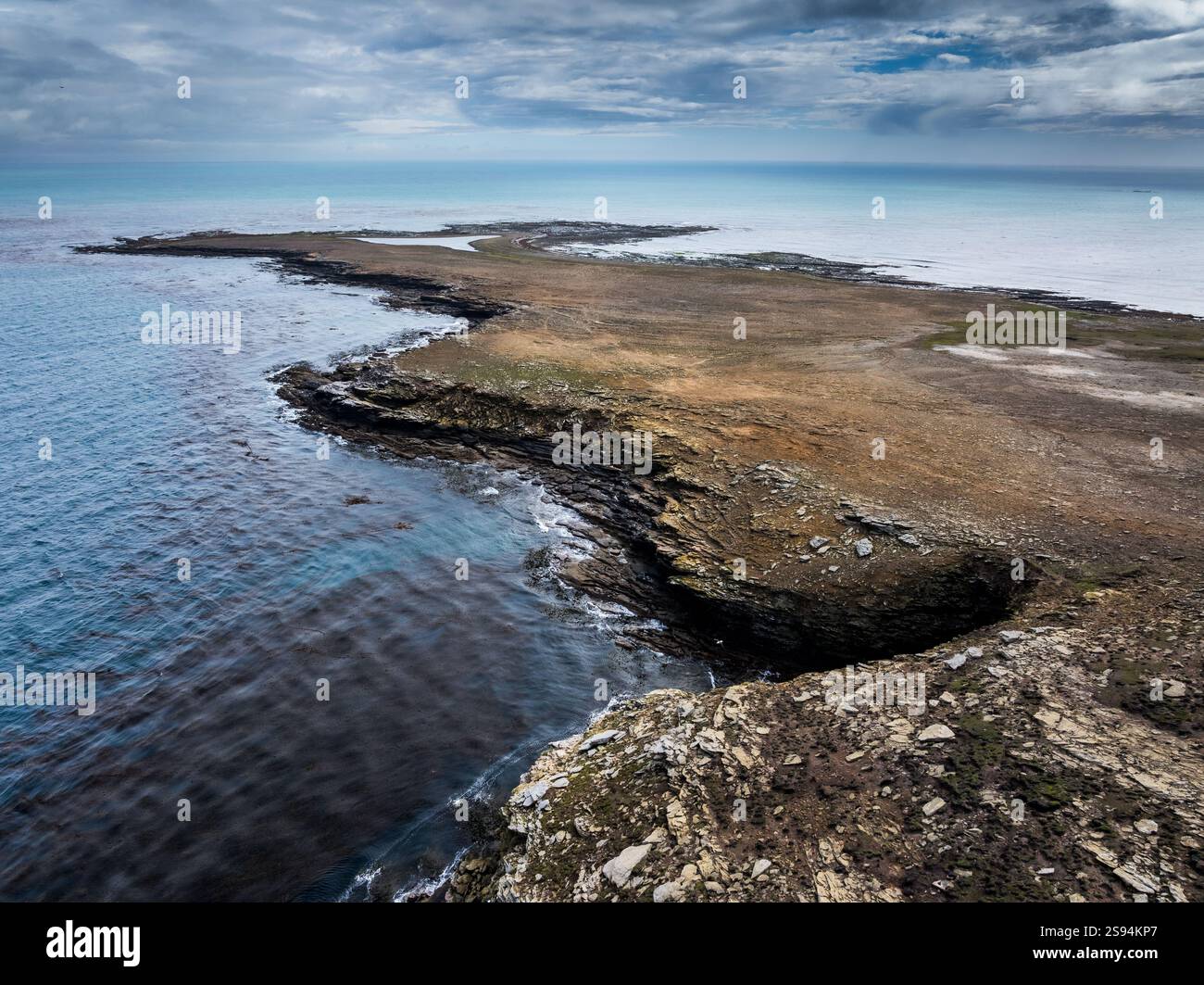 Elephant Point at Saunders Island, Falkland Islands Stock Photo - Alamy