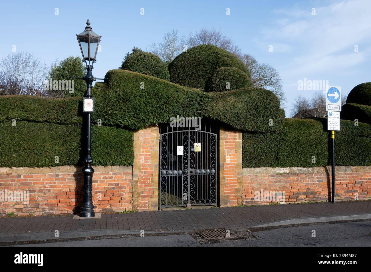 Yew hedges in New Place Garden seen from Chapel Lane, Stratford-upon ...