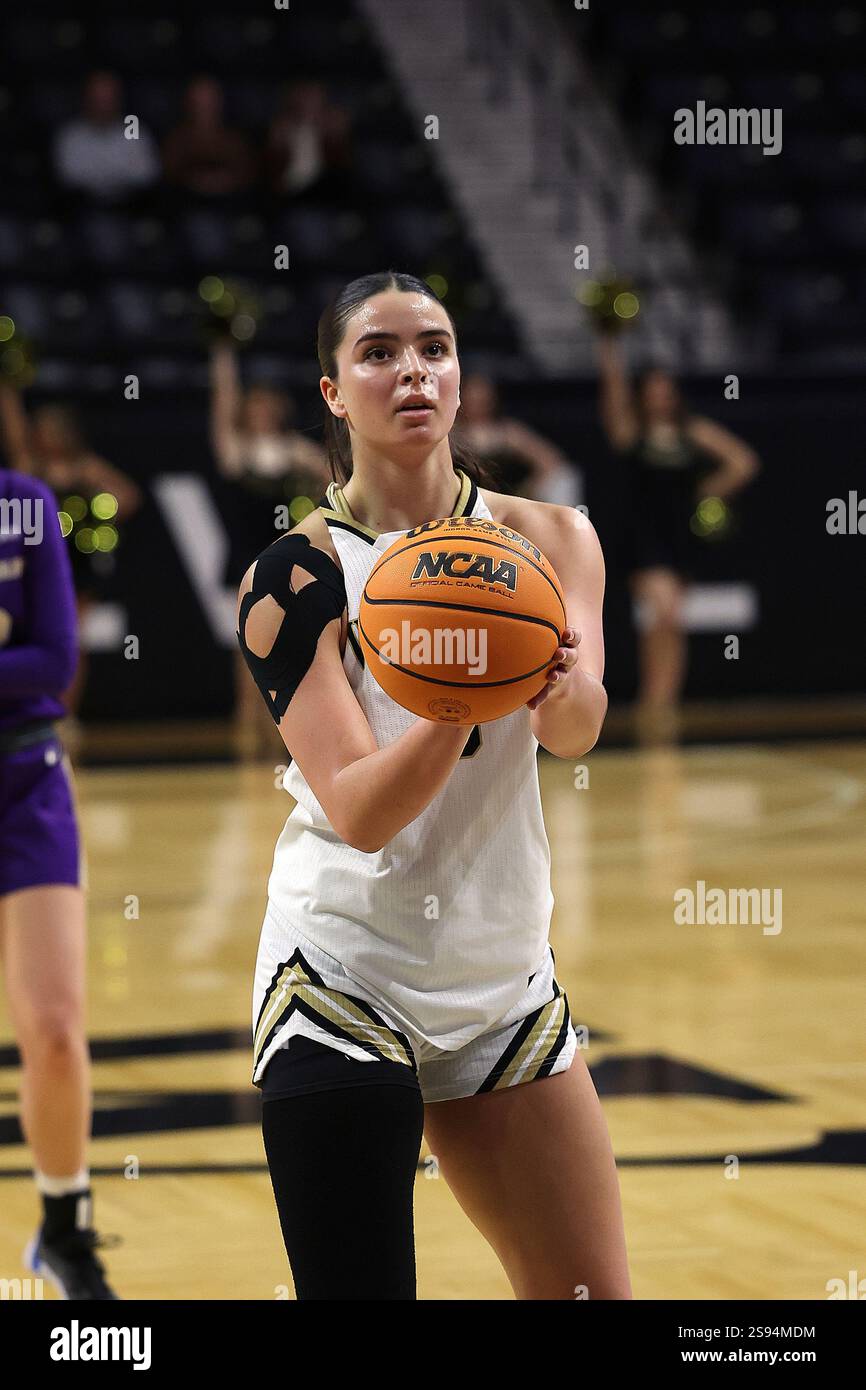 SPARTANBURG, SC - JANUARY 18: Wofford Terriers forward Evangelia Paulk ...