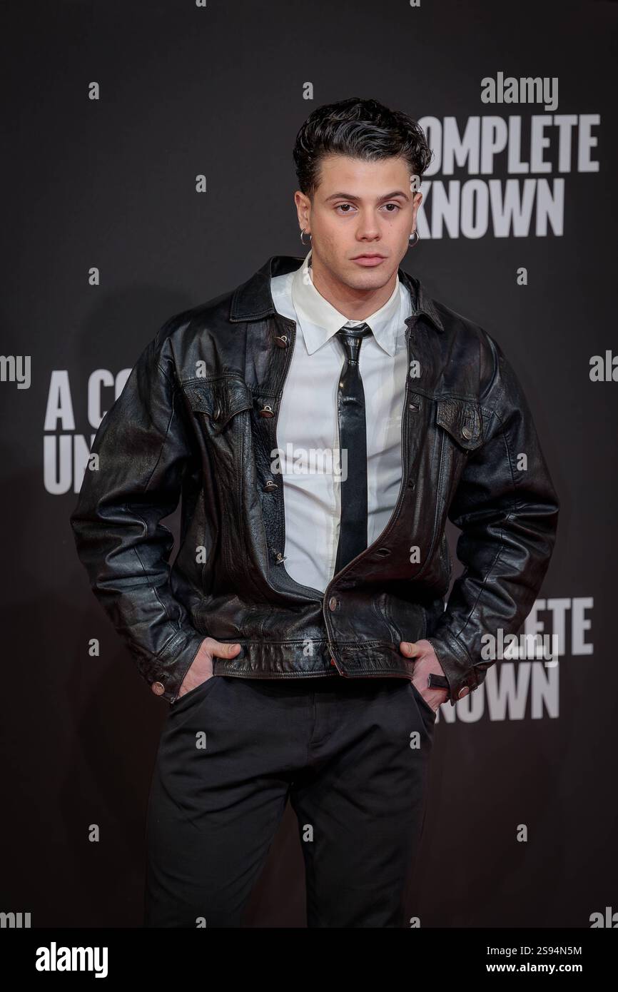 Italian premiere of the movie A Complete Unknown. Rome, Italy - January ...