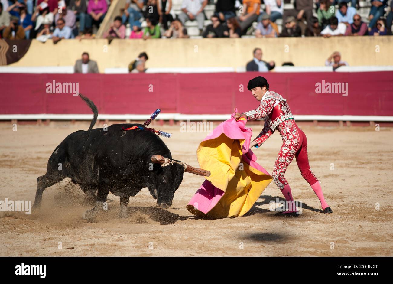 Matdor taunts the bull and tires him out before the group of forcado ...