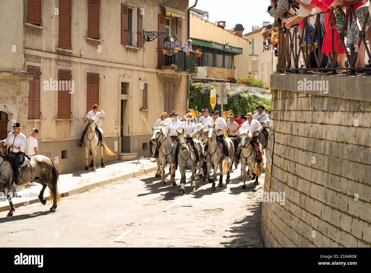Running of the Bulls to the Roman Arena where they will participate in ...