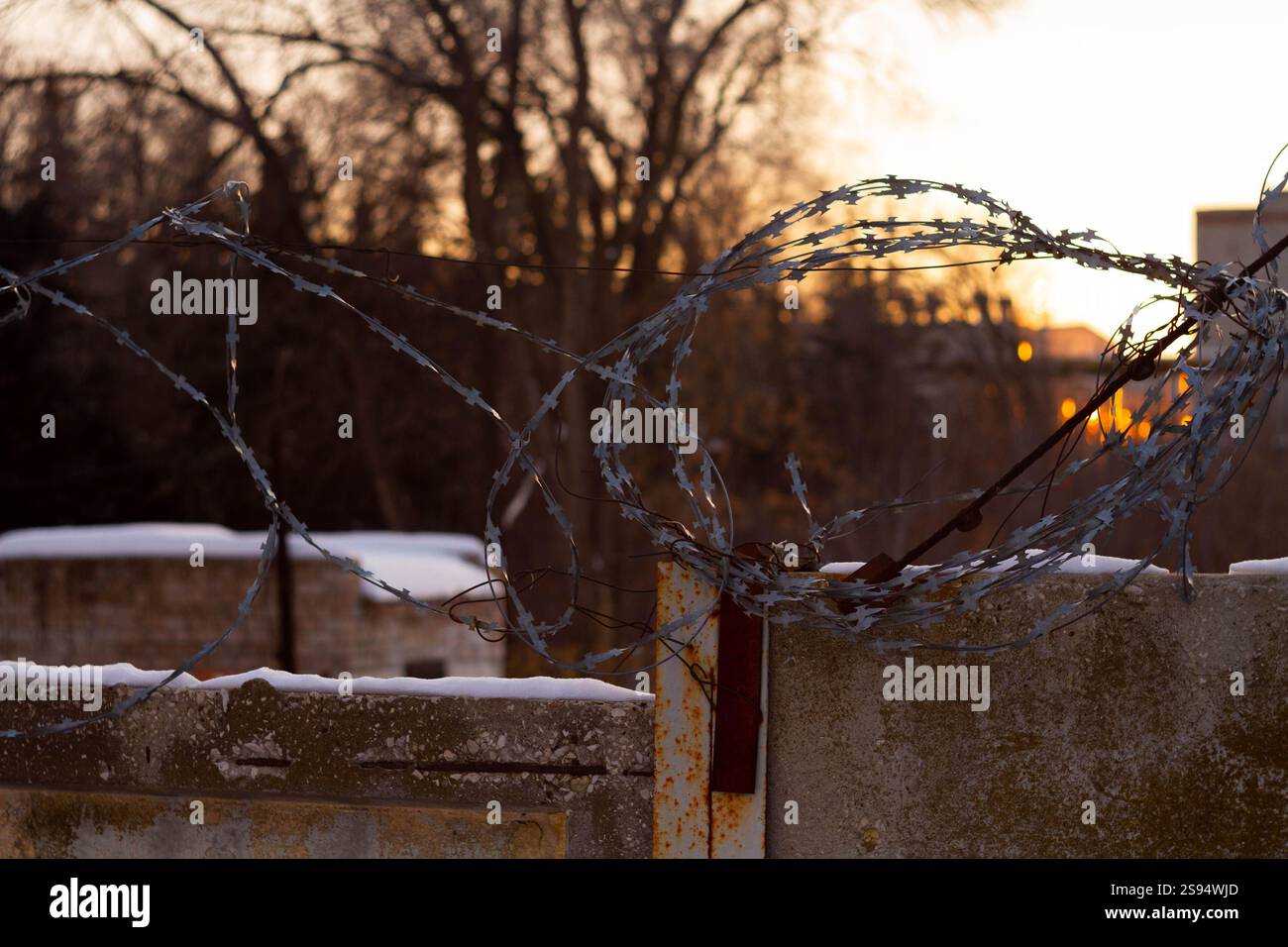 Barbed wire on the prison fence. A closed prison. Security concept ...