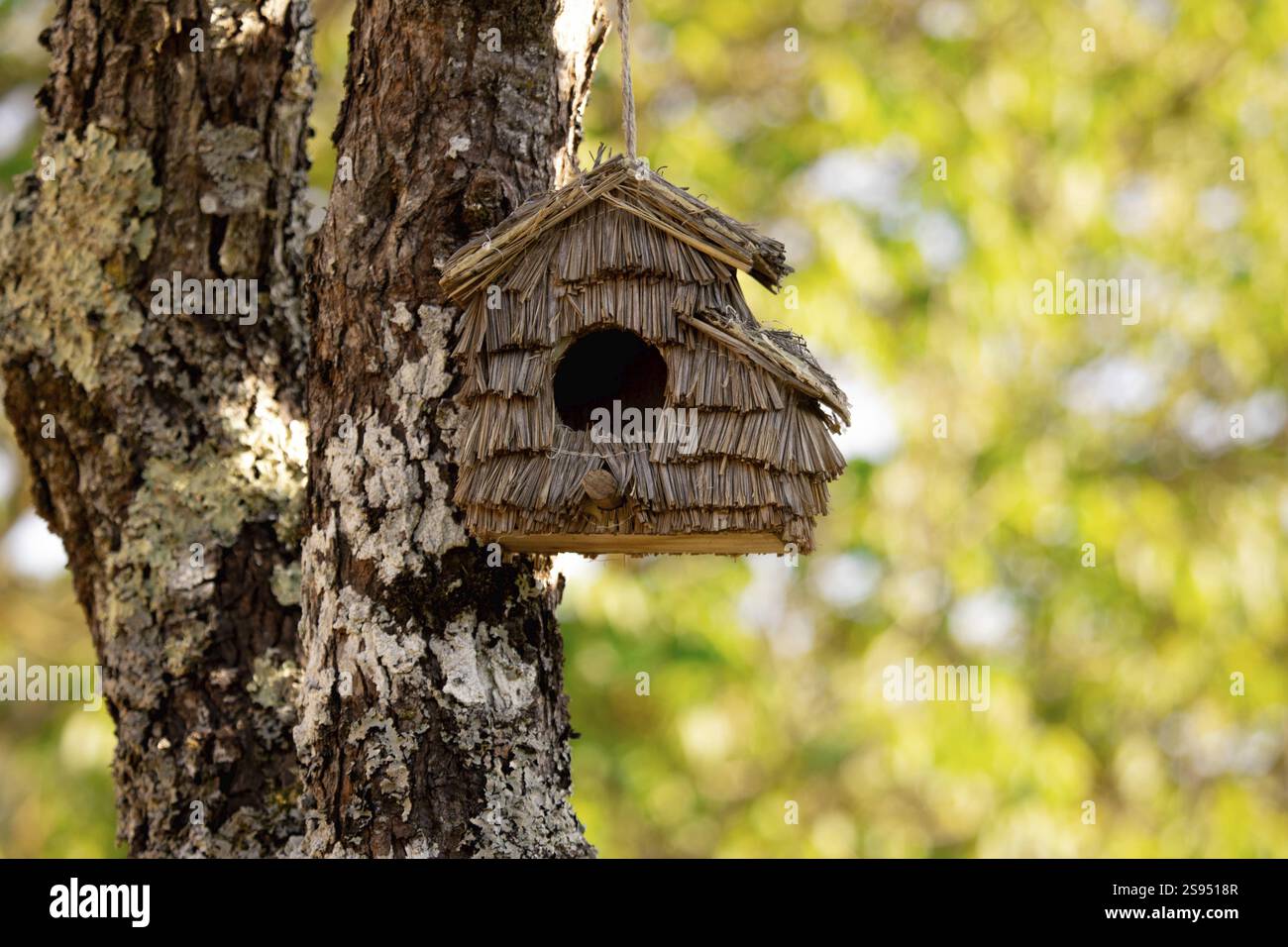 handmade nest for birds Stock Photo - Alamy