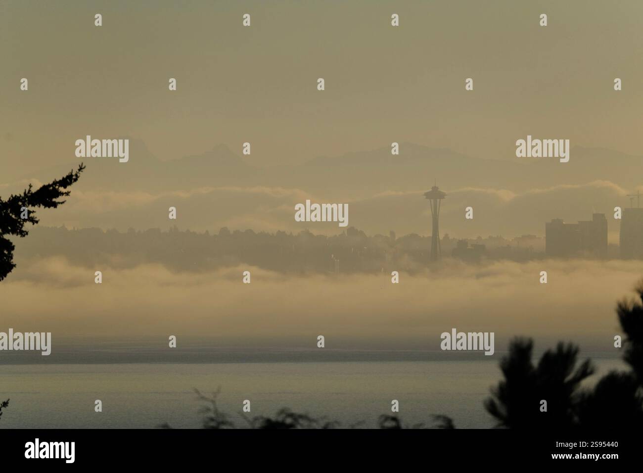 The skyscrapers and Space Needle of Seattle rising above the Puget ...