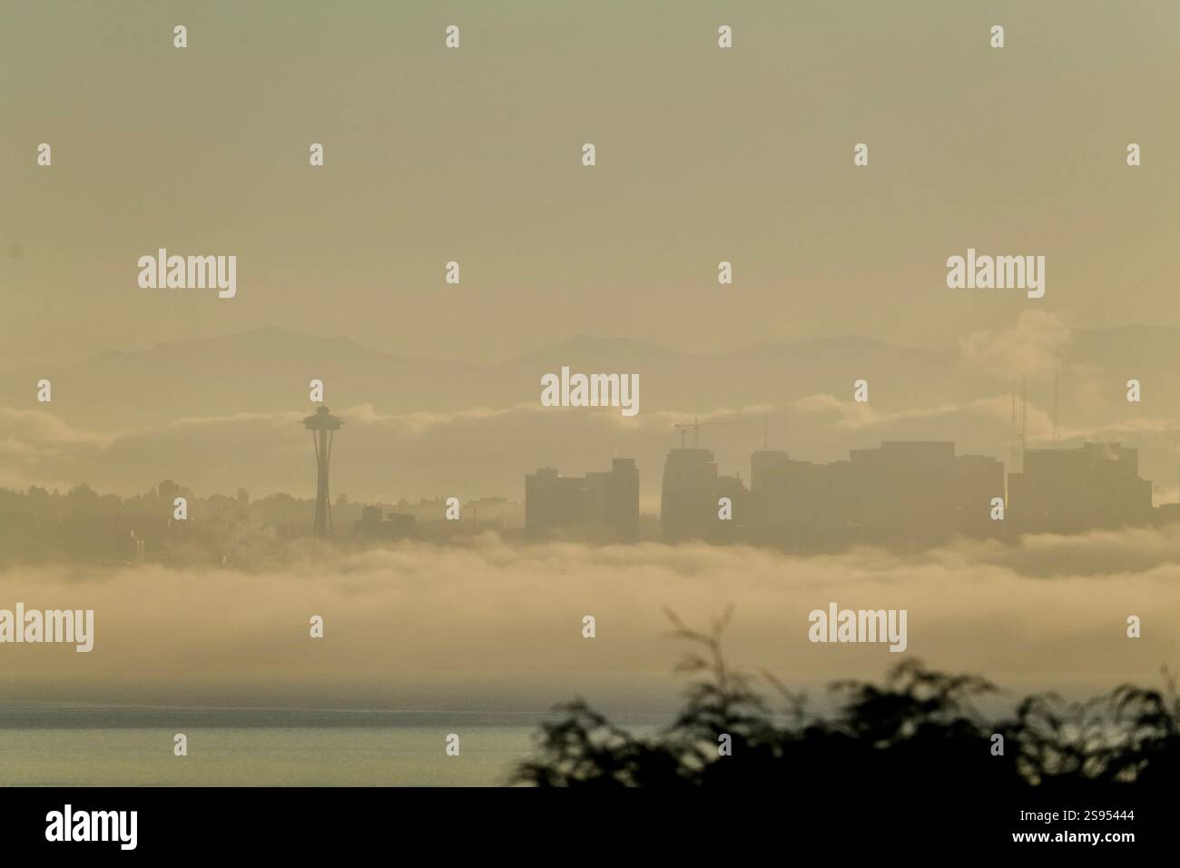 The skyscrapers and Space Needle of Seattle rising above the Puget ...