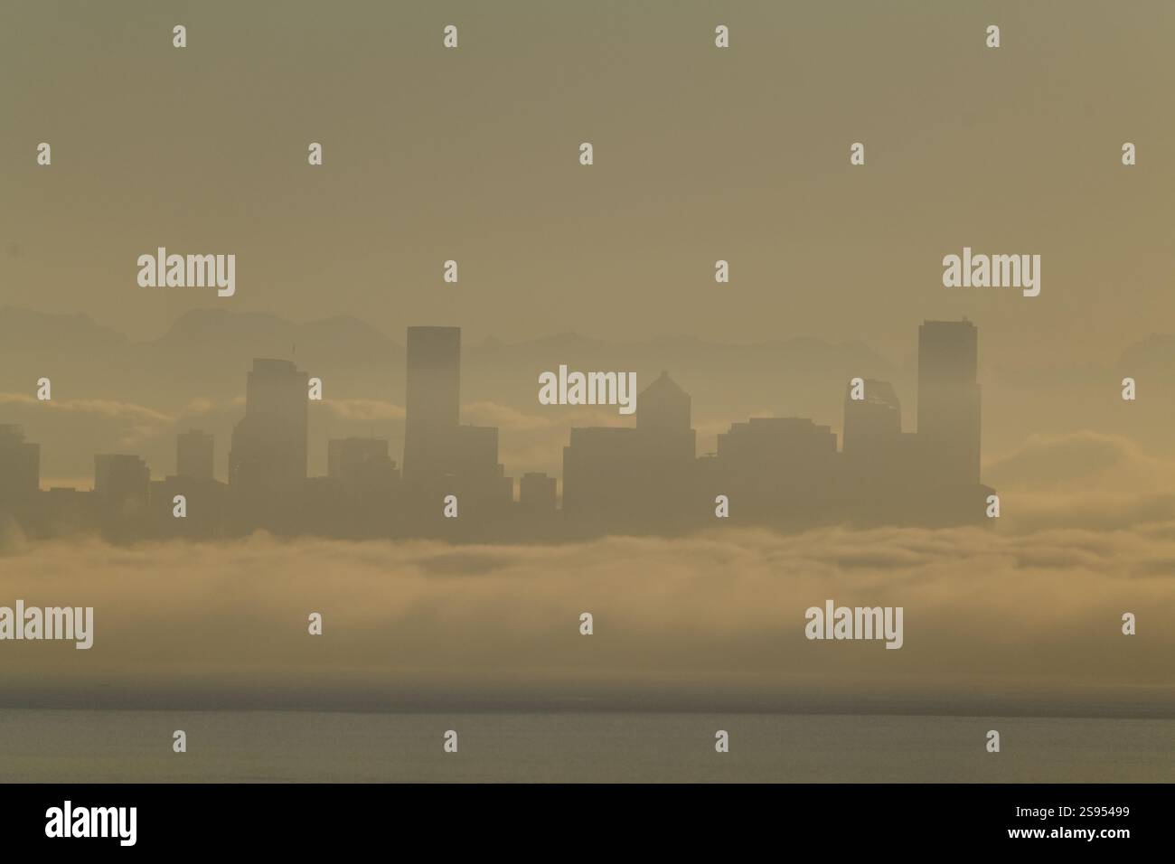The skyscrapers and Space Needle of Seattle rising above the Puget ...