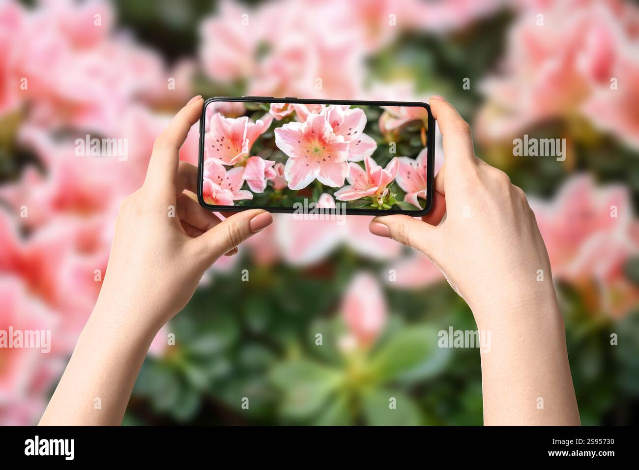 Plant identifier application. Woman taking photo of flowers outdoors ...