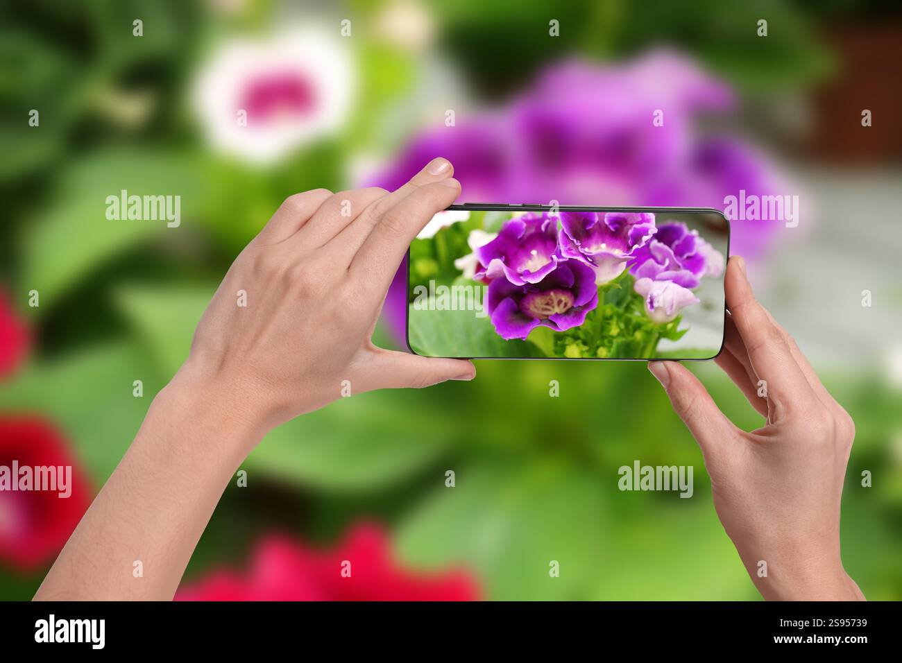 Plant identifier application. Woman taking photo of flowers outdoors ...
