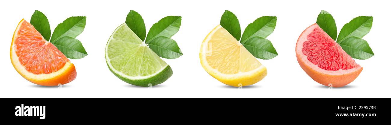 Citrus fruits slices and plant branches isolated on white, set Stock Photo - Alamy