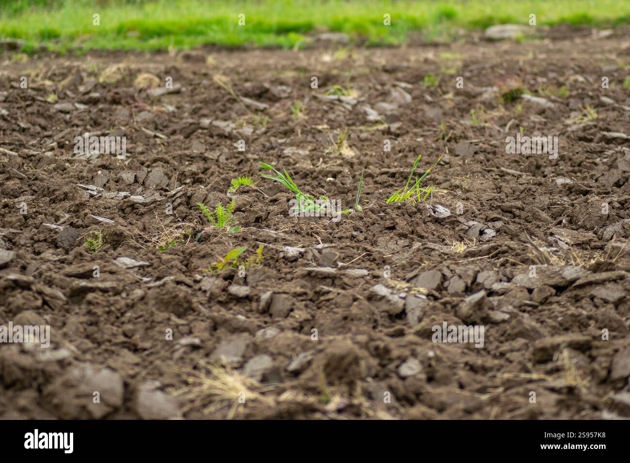 soil from an agricultural farm prepared for spring planting Stock Photo ...