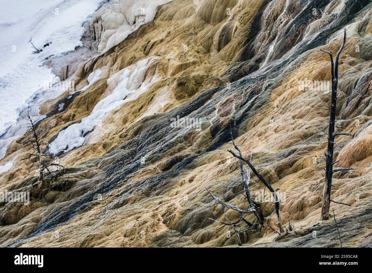 Travertine pools of Mammoth Hot Springs in Yellowstone National Park ...