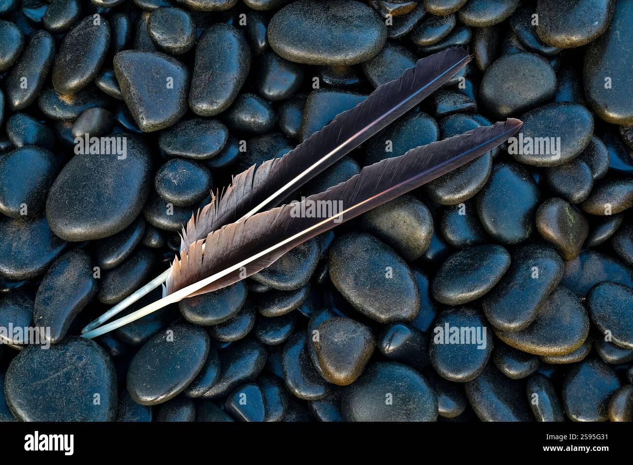 USA, Oregon, Arch Cape. Pacific coastline and round black shiny rocks ...