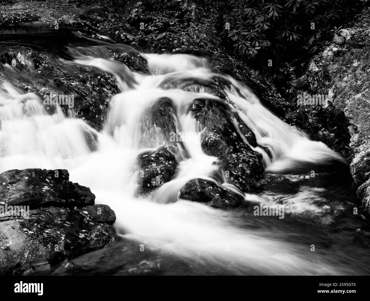 Tennessee, Great Smoky Mountains National Park. Cascade on the Little ...