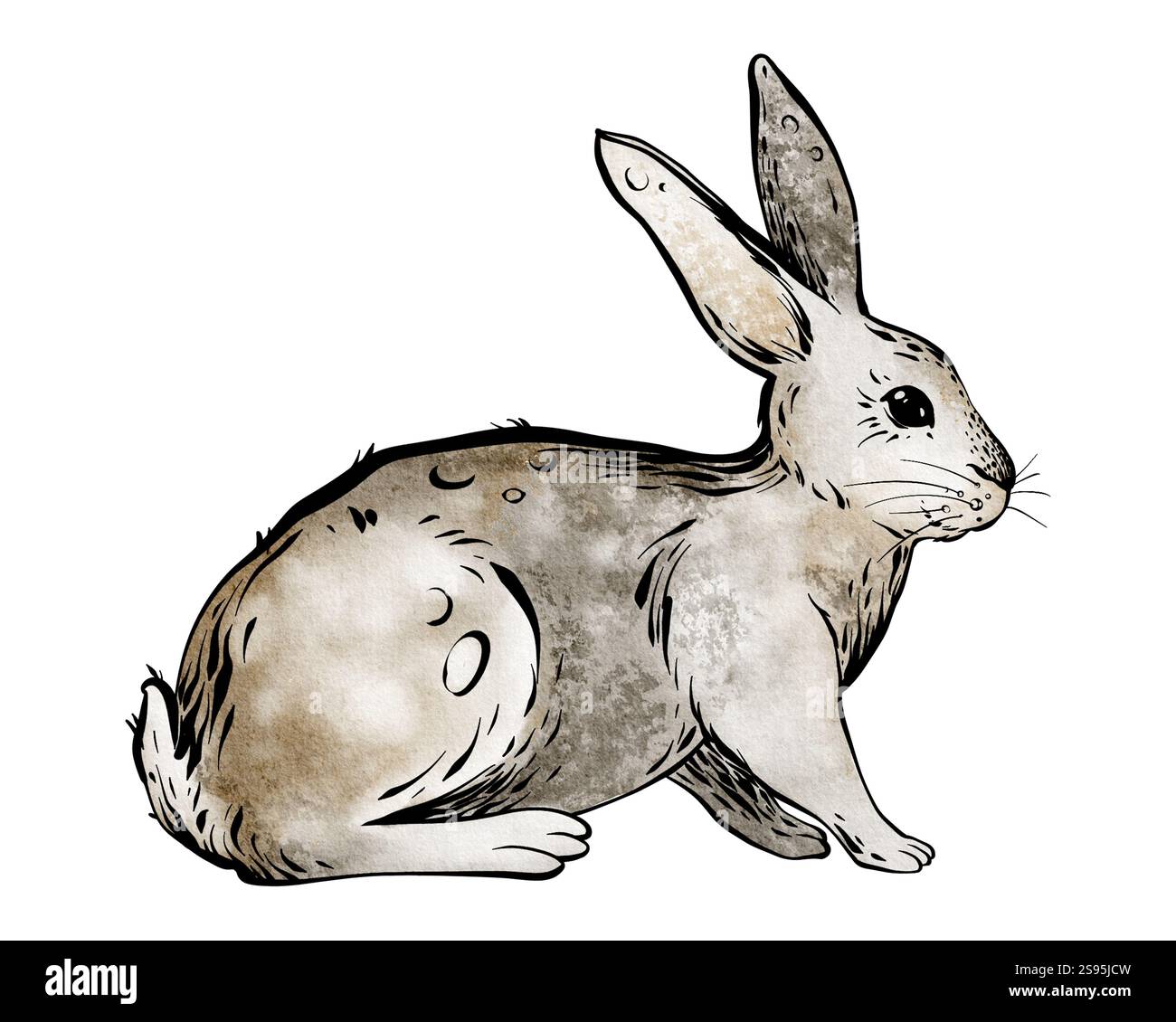 Hare illustration on a isolated background. Hand-drawn artwork of a ...