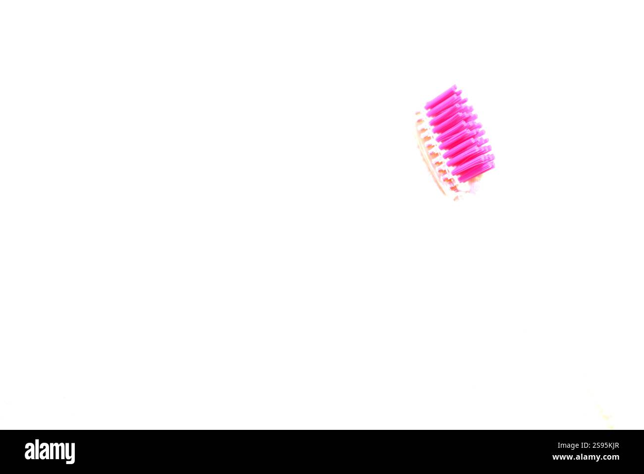Bright pink toothbrush bristles on white background. Oral hygiene and ...