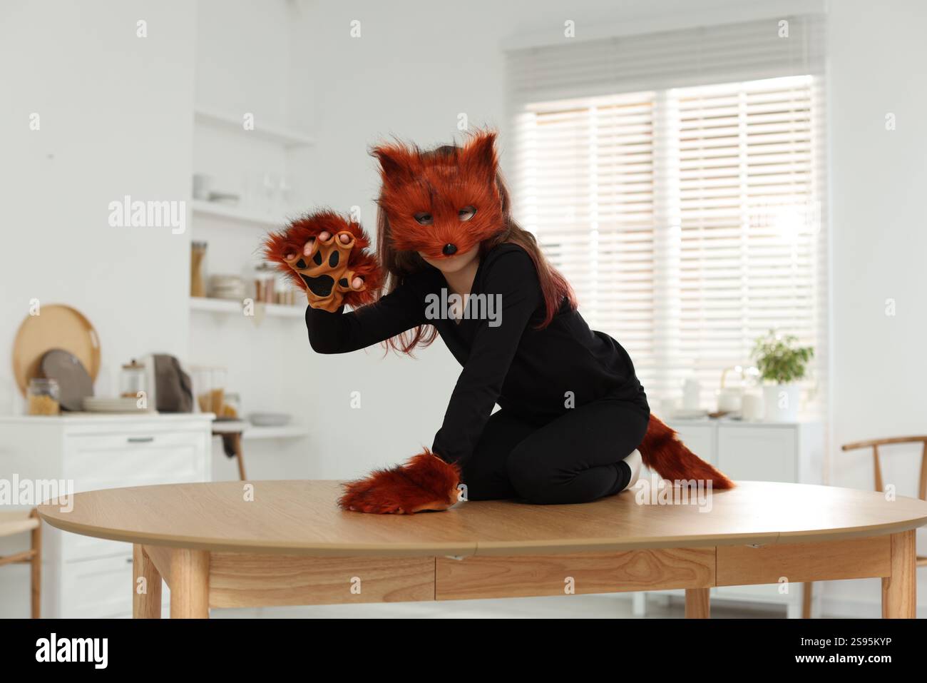Quadrobics. Girl wearing fox mask, tail and gloves on table at home ...