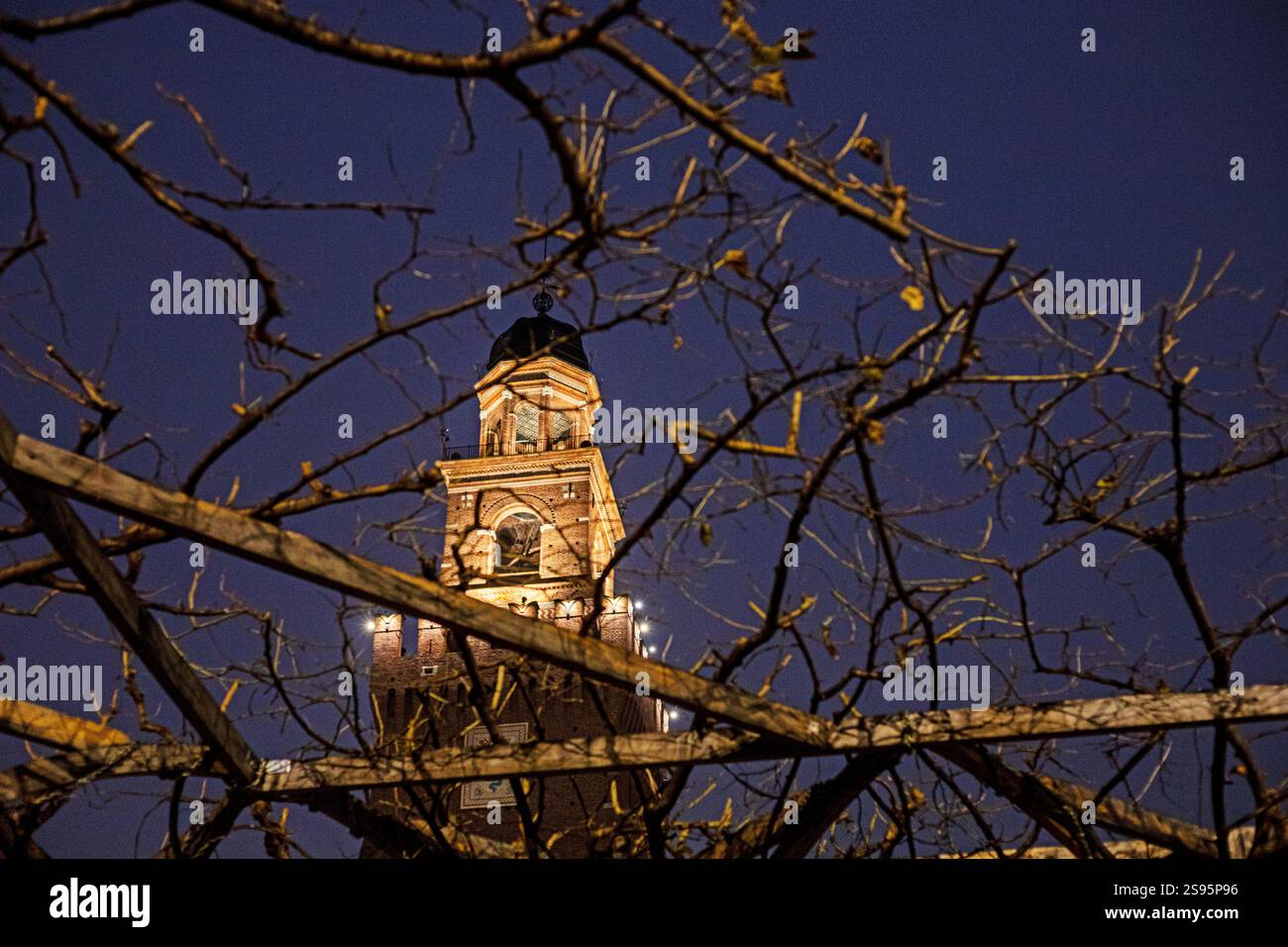 ancient Gothic castle illuminated in the evening through the branches ...
