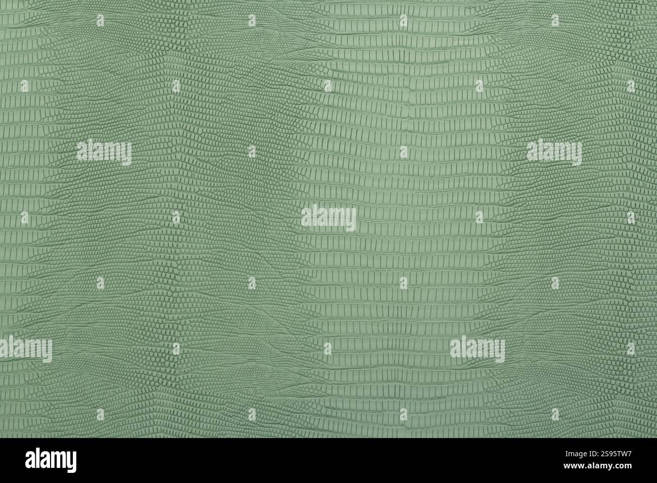 Beautiful green snake skin, reptile skin texture, close-up of snake ...