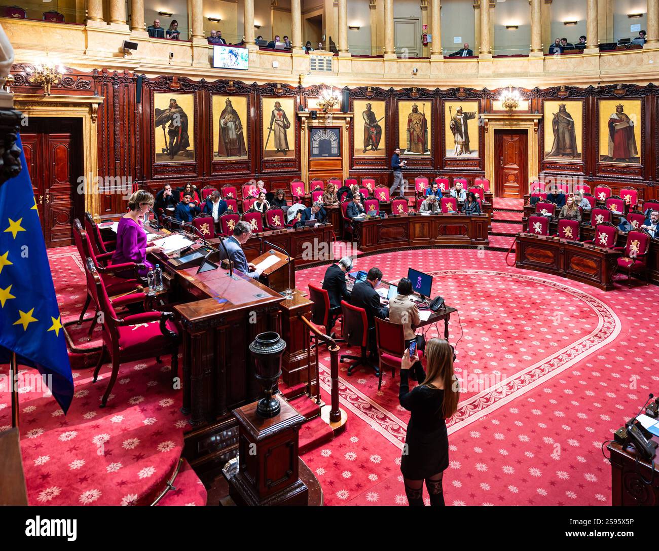 General view over the plenary session of the Senate at the Federal ...