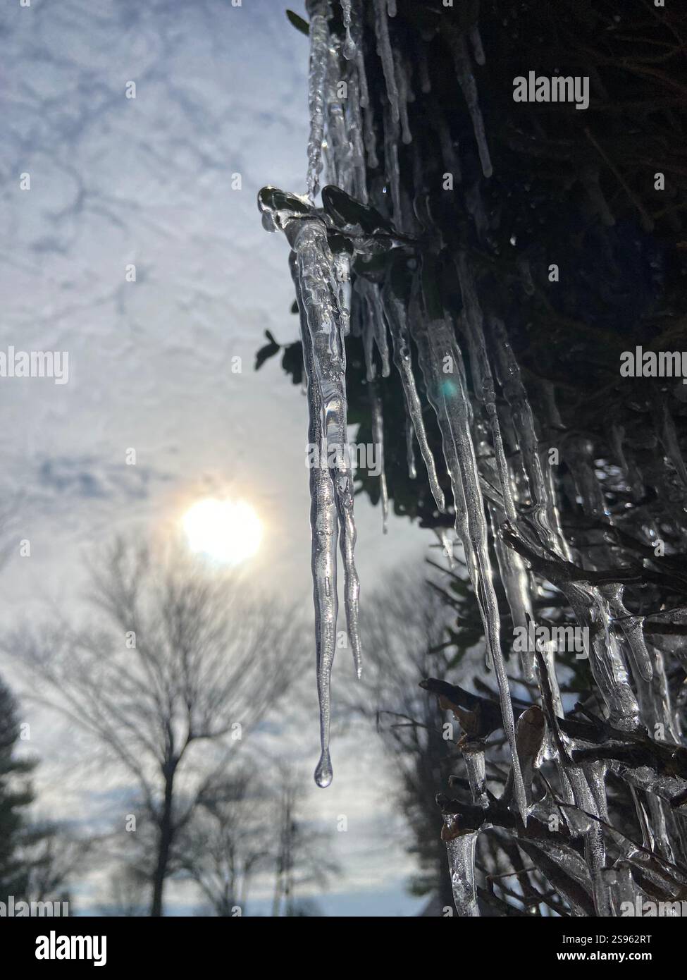 Frozen leftovers of a night's chill Stock Photo - Alamy