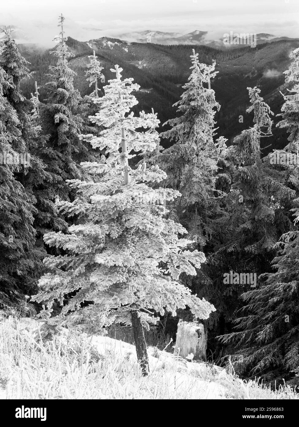 Central washington state Black and White Stock Photos & Images - Alamy