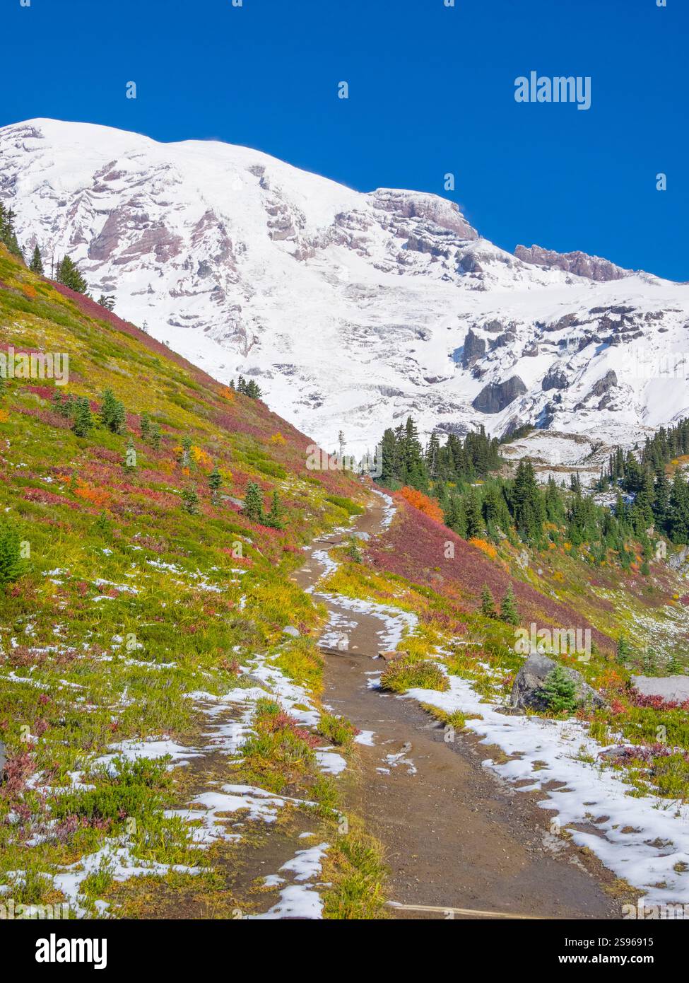 Washington State, Mount Rainier National Park. View of Mount Rainier ...