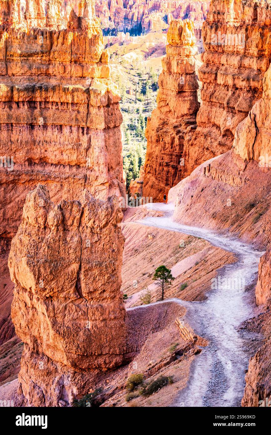 Navajo loop trail in Bryce Canyon National Park, Utah Stock Photo - Alamy