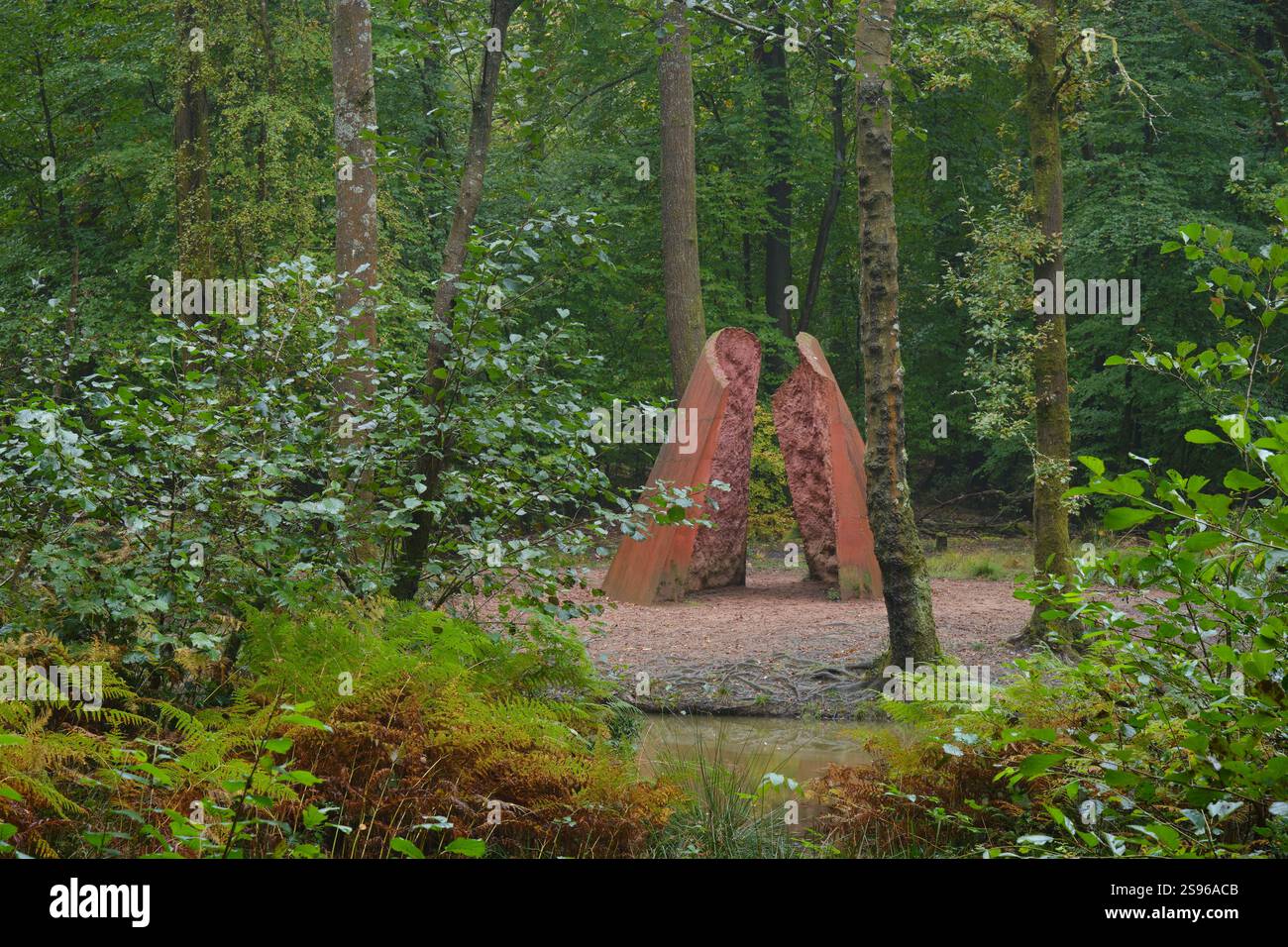 Threshold, a sculpture by Natasha Rosling at the Forest of Dean ...