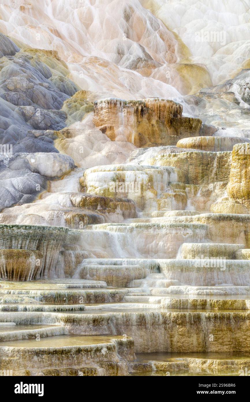USA, Wyoming, Yellowstone National Park, Mammoth Hot Springs. Deposits ...