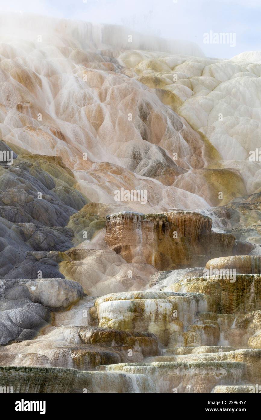 USA, Wyoming, Yellowstone National Park, Mammoth Hot Springs. Deposits ...