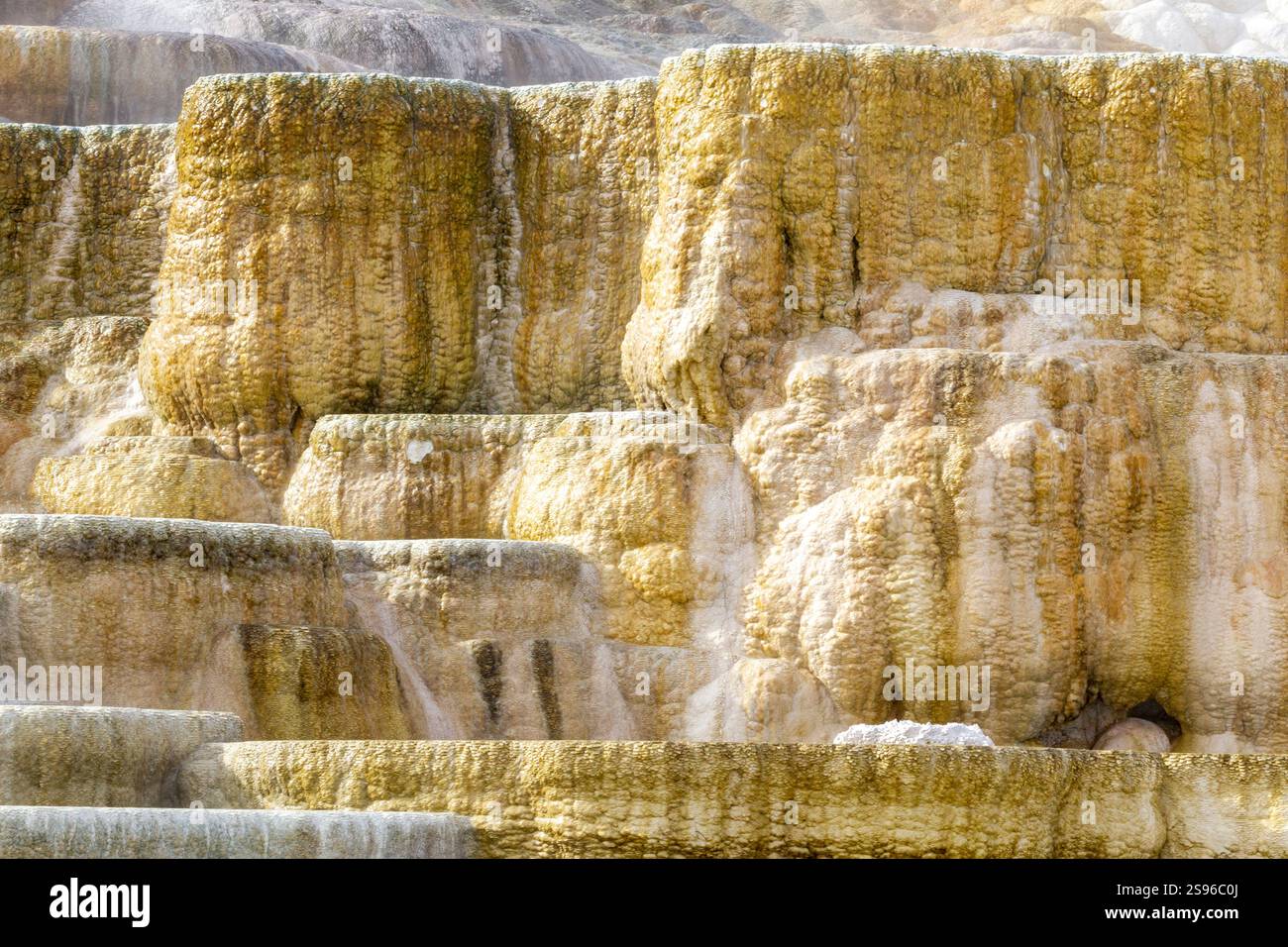 USA, Wyoming, Yellowstone National Park, Mammoth Hot Springs. Deposits ...