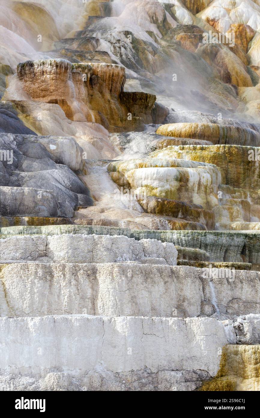 USA, Wyoming, Yellowstone National Park, Mammoth Hot Springs. Deposits ...