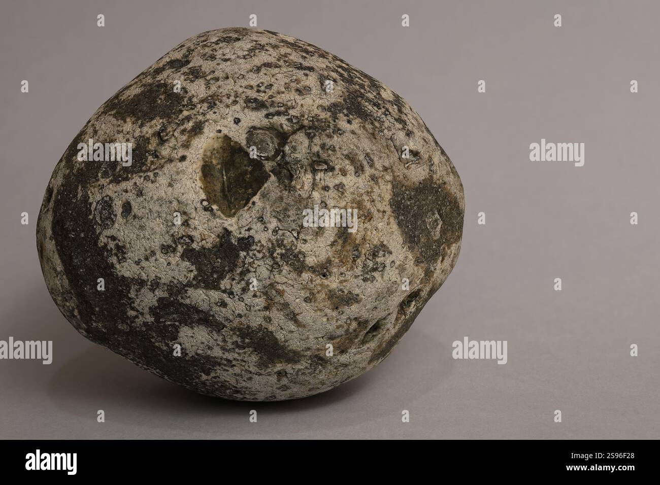 An extremely simple still life with a single mineral on a light ...